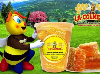 Miel de abeja - La Colmena