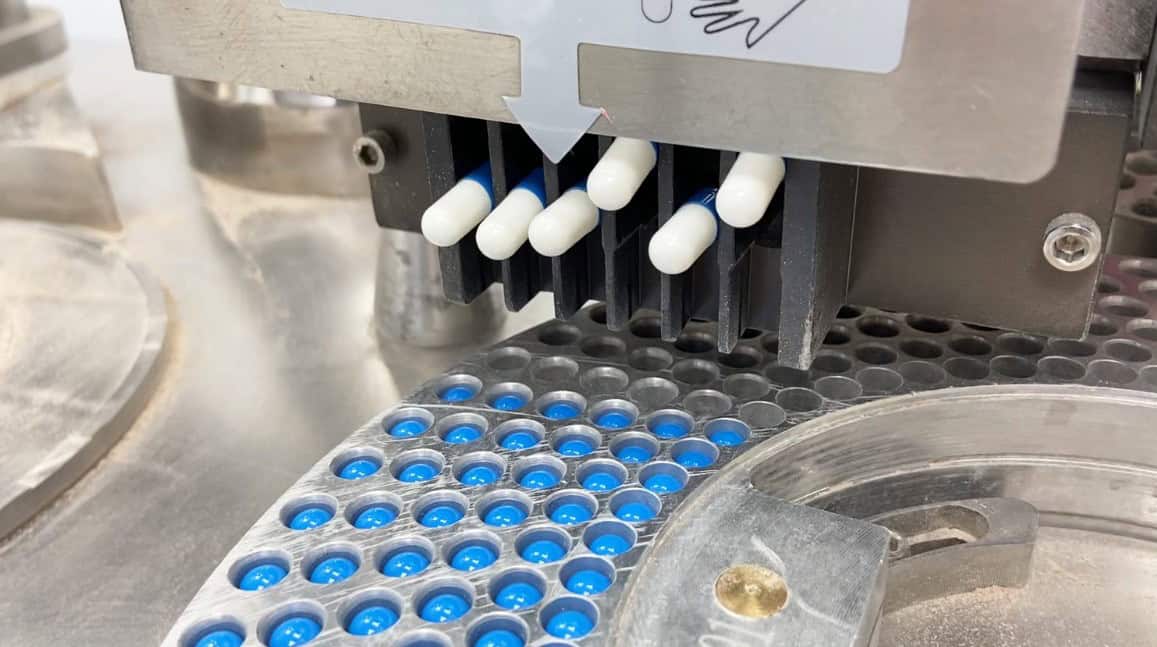 Encapsulado de suplementos alimenticios nutricionales en polvo