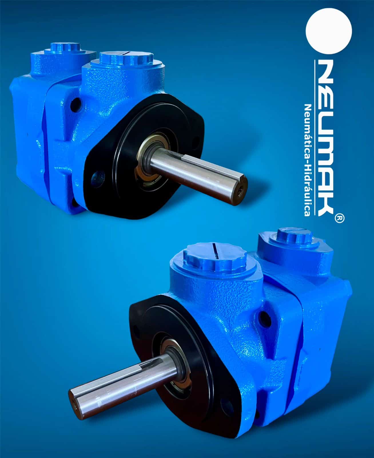 Bombas hidráulicas de paletas