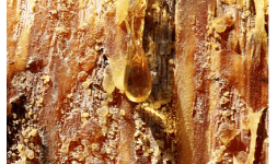 Brea (resina de pino)
